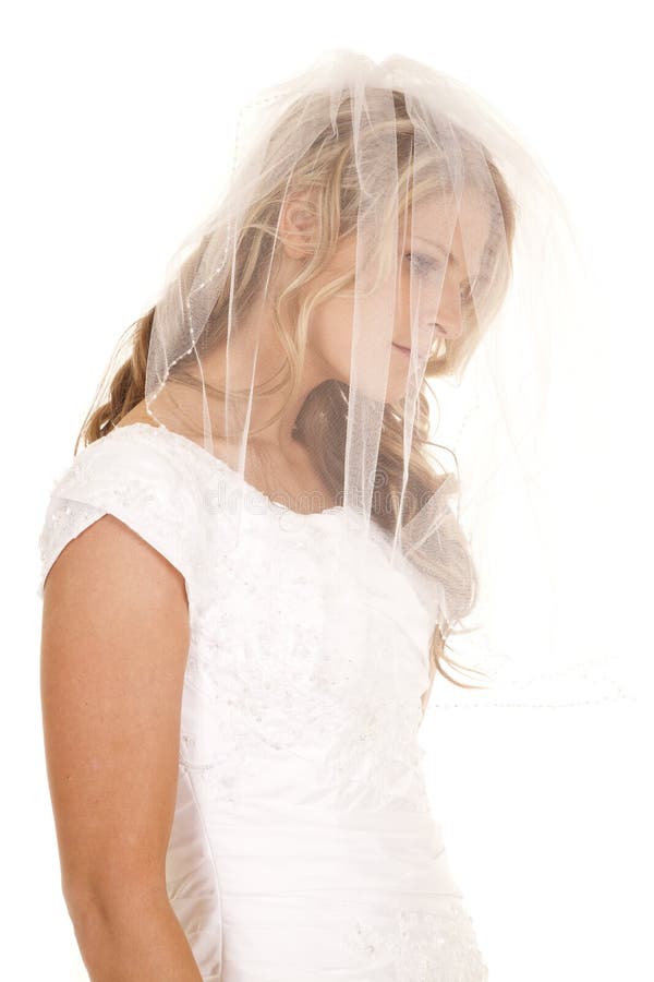 Bride with Veil Over Face Close Side Stock Photo - Image of fashion ...