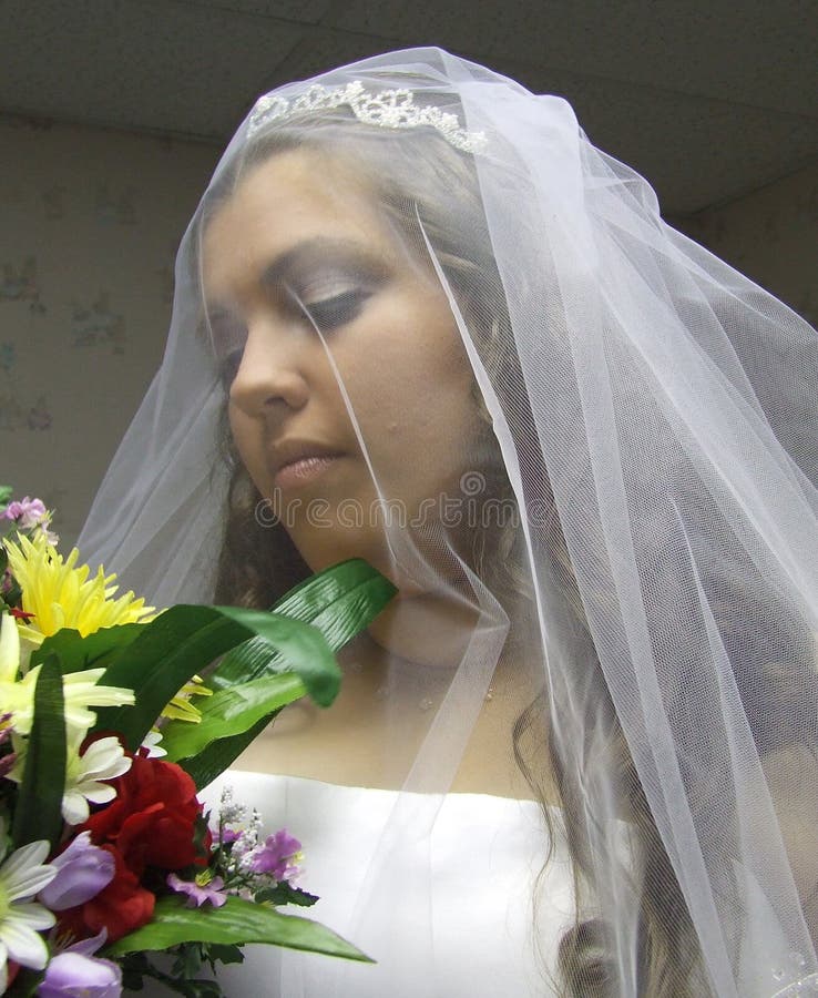 Bride veiled stock image. Image of laces, occasion, unite - 6454637