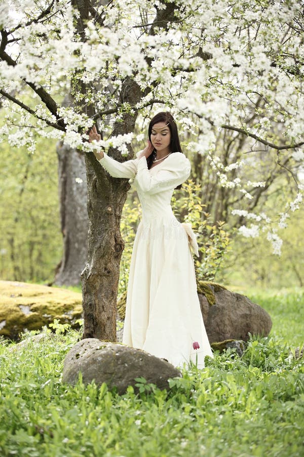 Bride Wedding Dress in Forest Vintage White Tree Stock Image - Image of ...