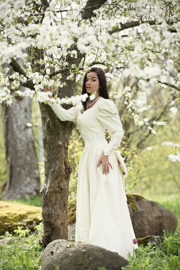 Bride Wedding Dress in Forest Vintage White Tree Stock Image - Image of ...
