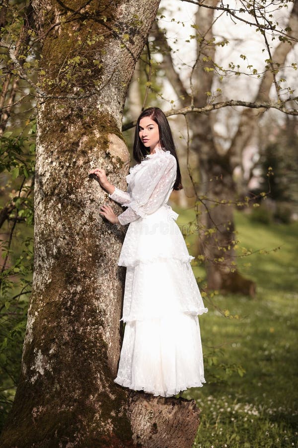 Bride Wedding Dress in Forest Vintage White Tree Stock Image - Image of ...