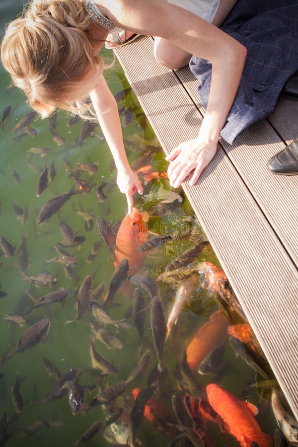 The Bride at the Wedding Feeds the Fish by the Pond Stock Image - Image ...