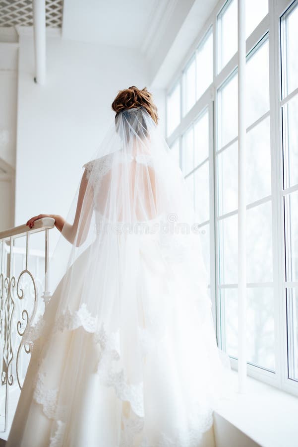 Bride in White Dress Backs To the Camera Stock Image - Image of ...
