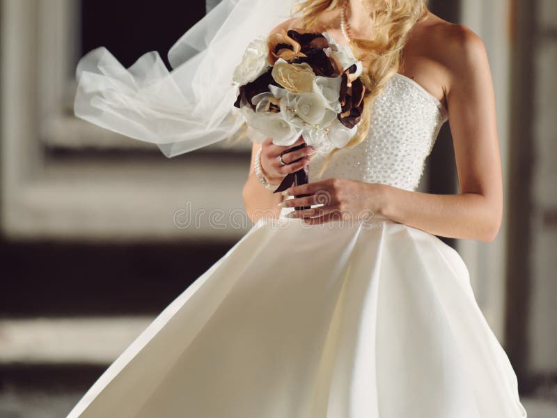 Bride in the wind stock photo. Image of bright, dancing - 35579270