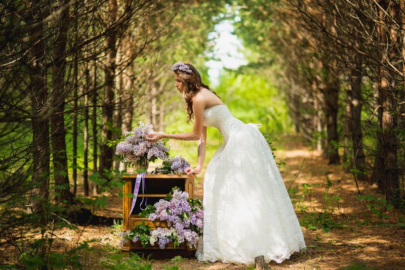 The bride in the wood stock image. Image of outdoor, girl - 65172699