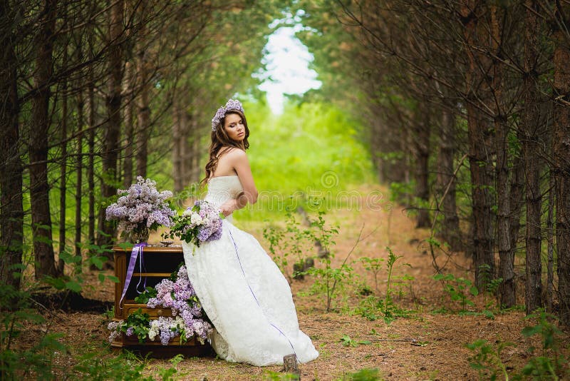 The bride in the wood stock image. Image of close, portrait - 65172715