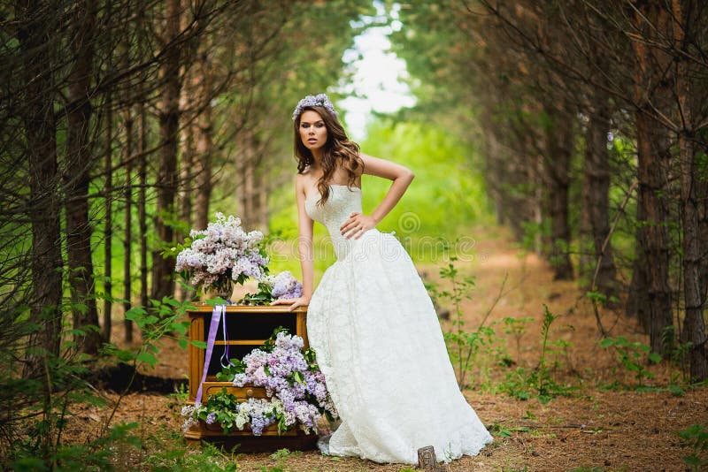 The bride in the wood stock image. Image of close, golden - 65172759