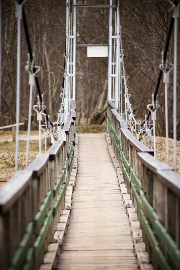 Bridge stock photo. Image of park, outdoors, green, strings - 22647868