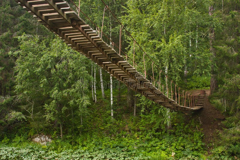 Bridge above the river stock photo. Image of foliage - 63960404