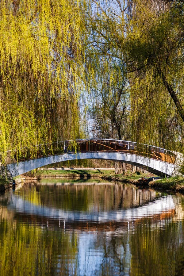 Bridge Across the Lake in Spring Stock Photo - Image of beautiful ...