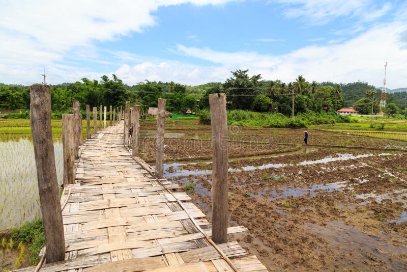 Bridge Across Rice Field White Cloud Stock Image - Image of motion ...