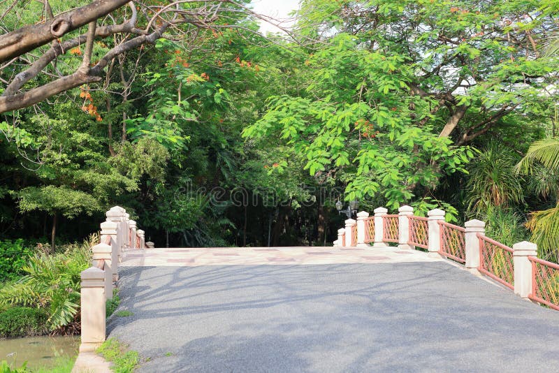 Bridge on Alley, Pedestrian Path Along the Tree in Tropical Garden ...