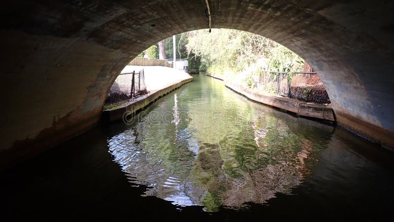 Bridge Along My Paddle Tour Stock Photo - Image of tree, paddle: 210834230