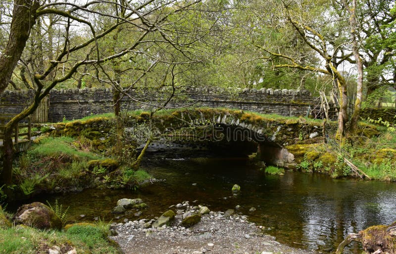 Bridge Arch Surrounded by Trees in England Stock Image - Image of creek ...