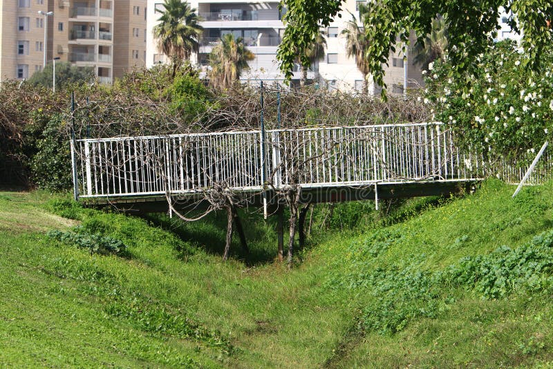 Bridge - an Artificial Structure Stock Image - Image of labor, obstacle ...