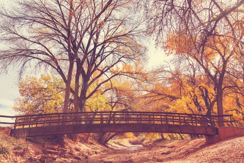 Bridge in autumn forest stock image. Image of parkway - 93006373