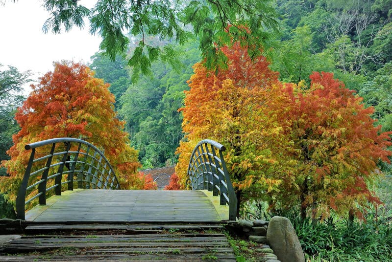 Bridge in autumn forest stock image. Image of parkway - 57510719