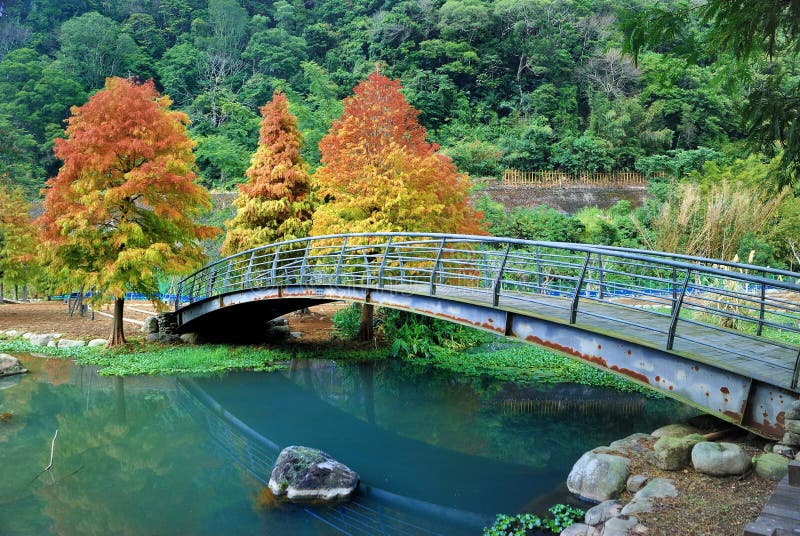 Bridge in autumn forest stock photo. Image of bridge - 61535864