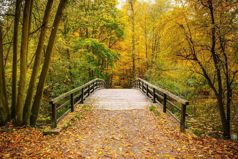 Bridge in autumn forest stock image. Image of fall, path - 32916519