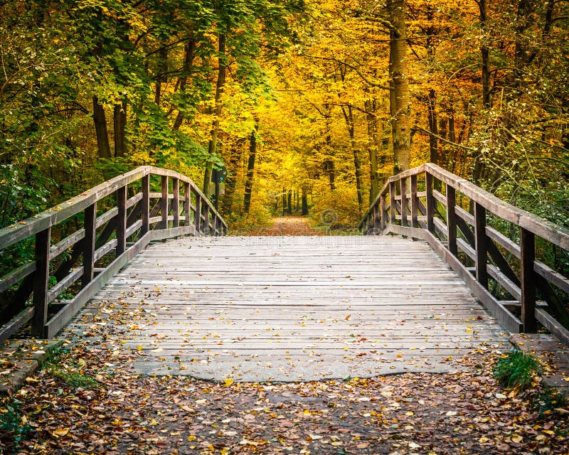 Bridge in autumn forest stock image. Image of fall, path - 32916519
