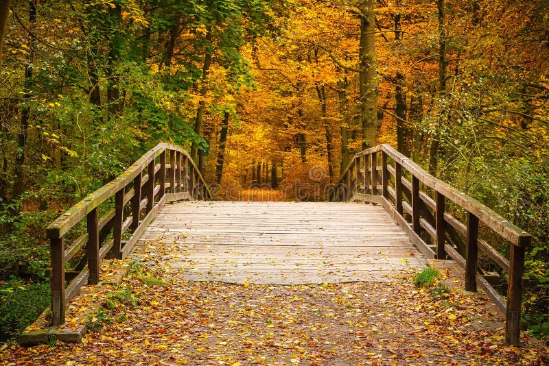Bridge in autumn forest stock image. Image of fall, path - 32916519