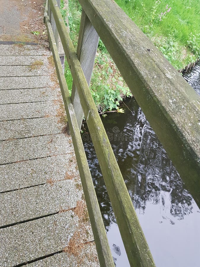 Bridge over water stock image. Image of grass, balustrade - 117754441