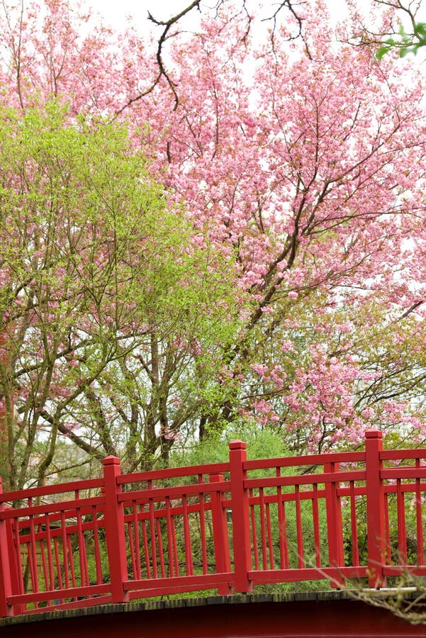 Spring bridge stock image. Image of beautiful, bridge - 91247083