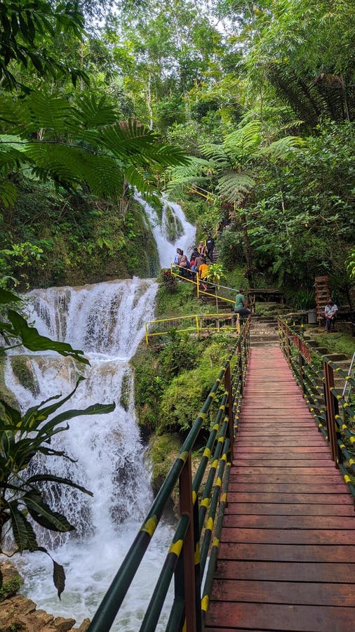 Bridge with Beautiful Views of the Waterfall Editorial Image - Image of ...