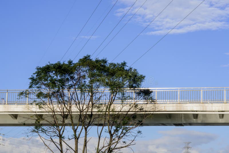 Bridge behind trees stock image. Image of tree, arch - 90659739