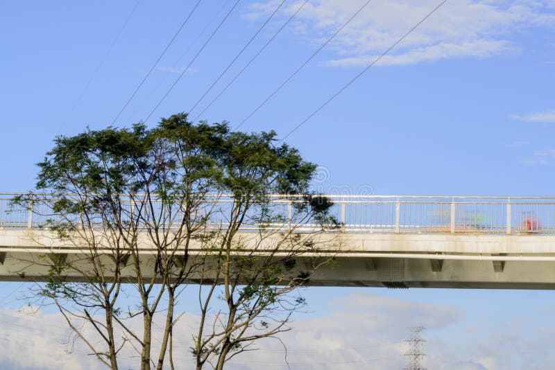 Bridge behind trees stock photo. Image of country, nature - 90659804