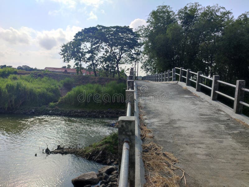 Bridge on Big River in Rice Field in Asia Stock Photo - Image of bridge ...