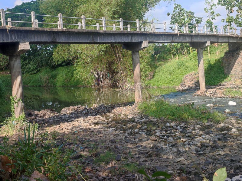 Bridge on Big River in Rice Field in Asia Stock Photo - Image of river ...