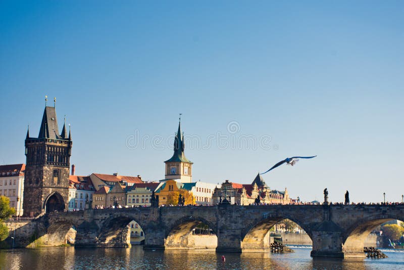 Bridge and bird stock image. Image of prague, bridge - 131497849