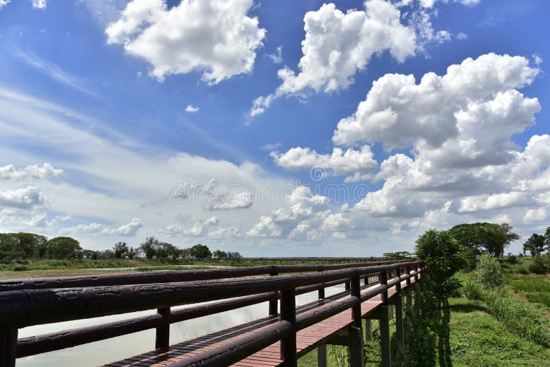 Bridge with blue sky stock image. Image of summer, forest - 72820571