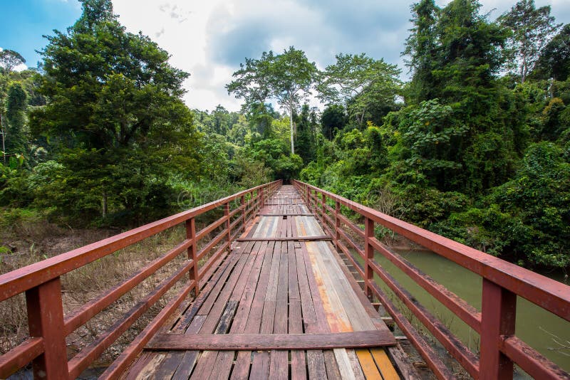Bridge - Built Structure, Built Structure, Elevated Walkway, Floorboard ...