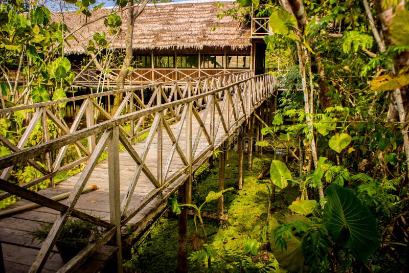 Bridge and Cabin at Amazon River Jungle Editorial Photography - Image ...