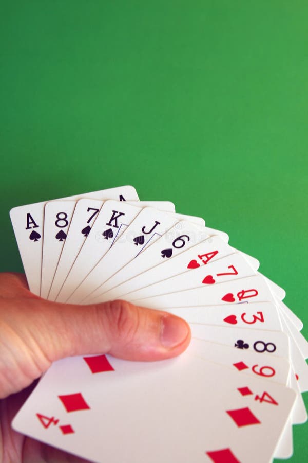 993 Bridge Card Game Photos - Free & Royalty-Free Stock Photos from ...