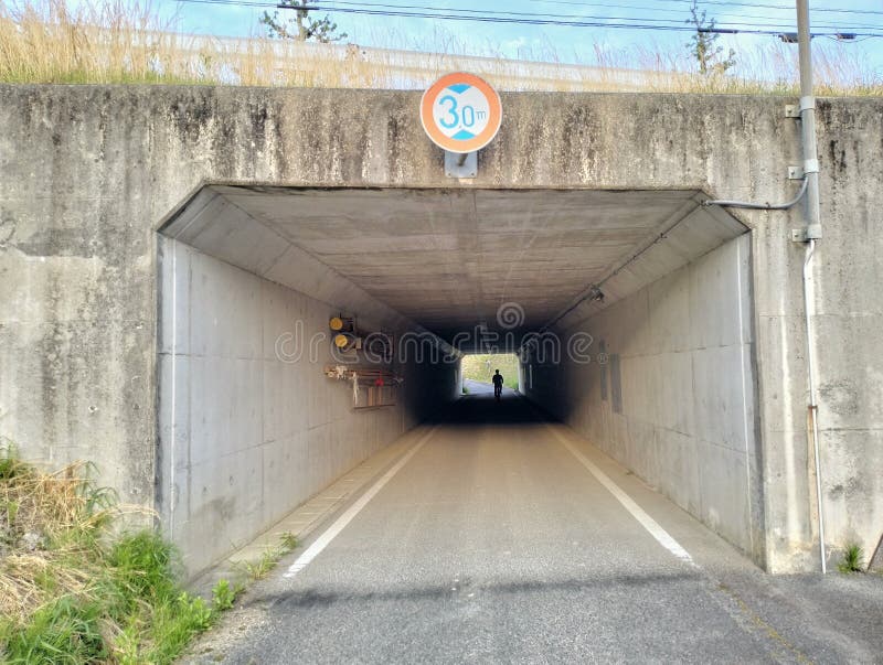 A Bridge Corridor with Symmetrical Lines and Striking Architectural ...