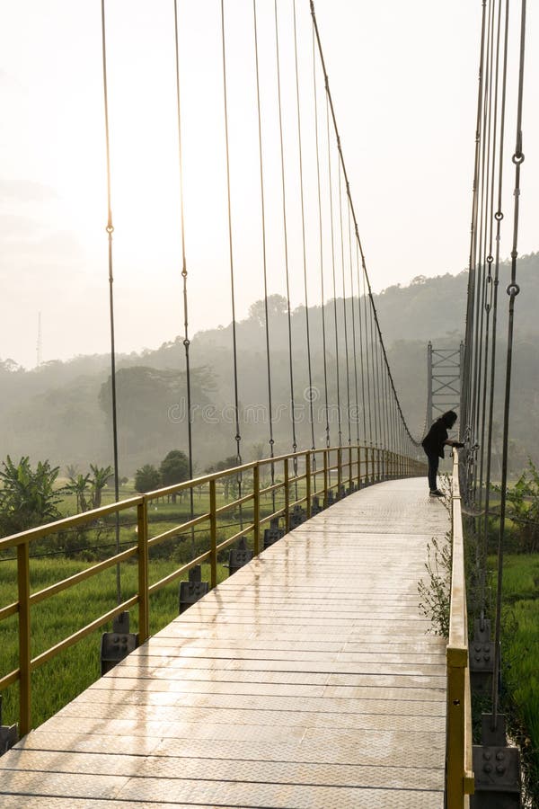 The Bridge that Crosses the Rice Fields with a Female Silhouette Stock ...
