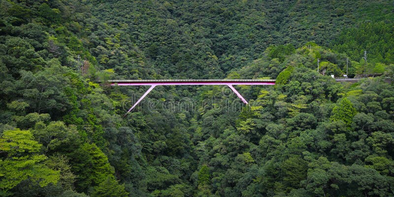 Bridge Crossing a Valley in a Japanese S Forest Stock Photo - Image of ...