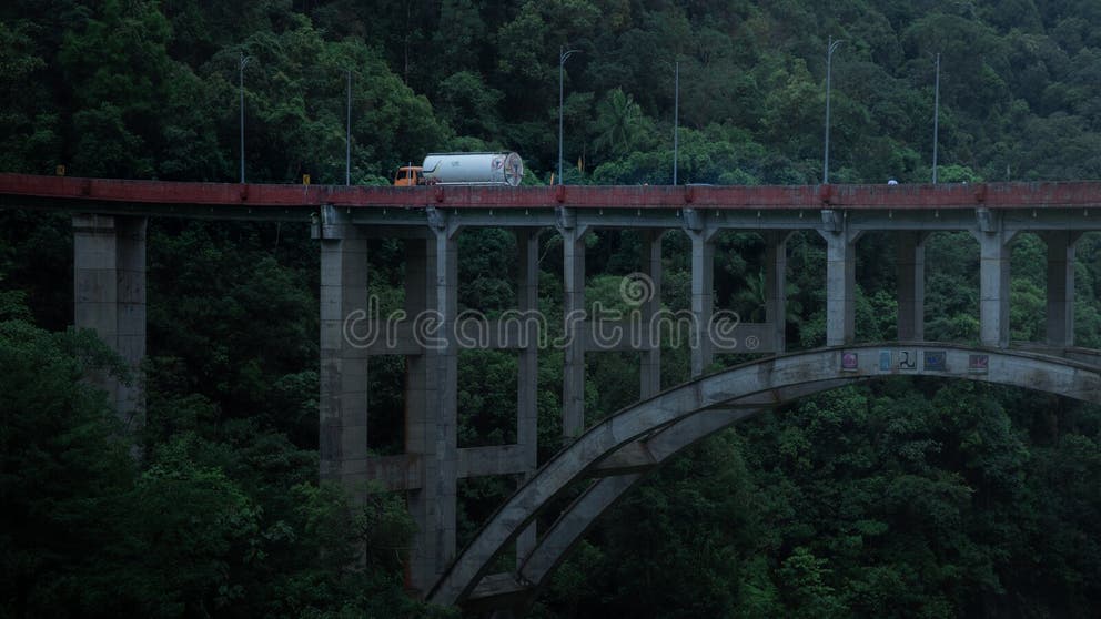 A bridge in deep forest stock photo. Image of flyover - 246593664
