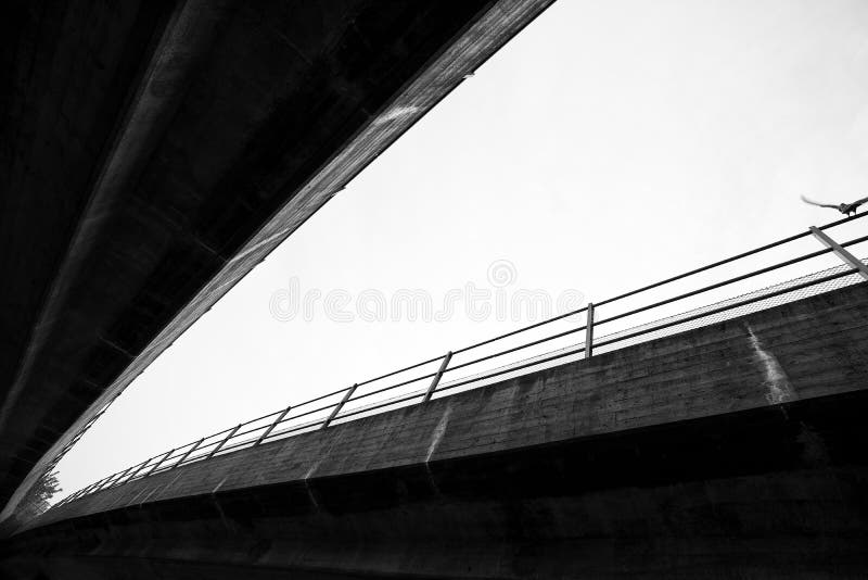 Bridge and dove stock photo. Image of bird, dove, bridge - 94541048