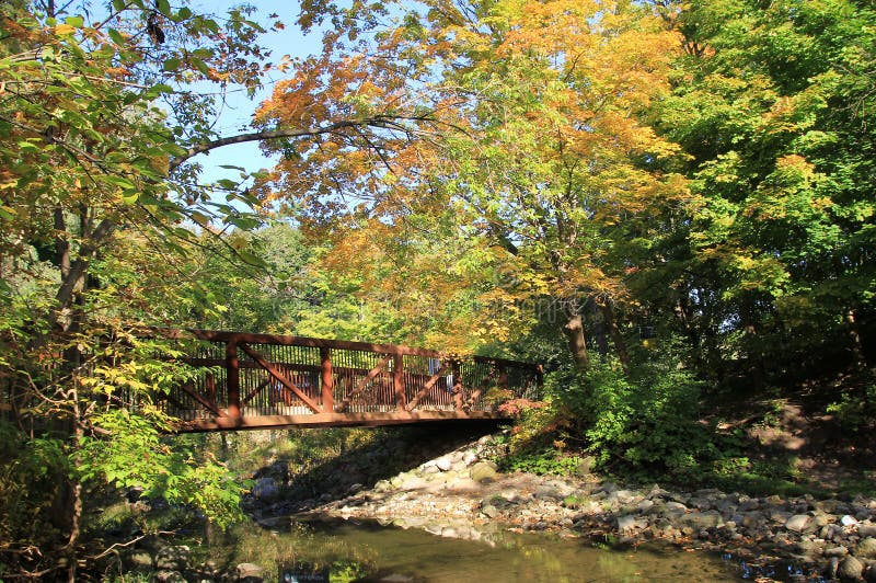 The Bridge stock image. Image of autumn, season, leaves - 46342925