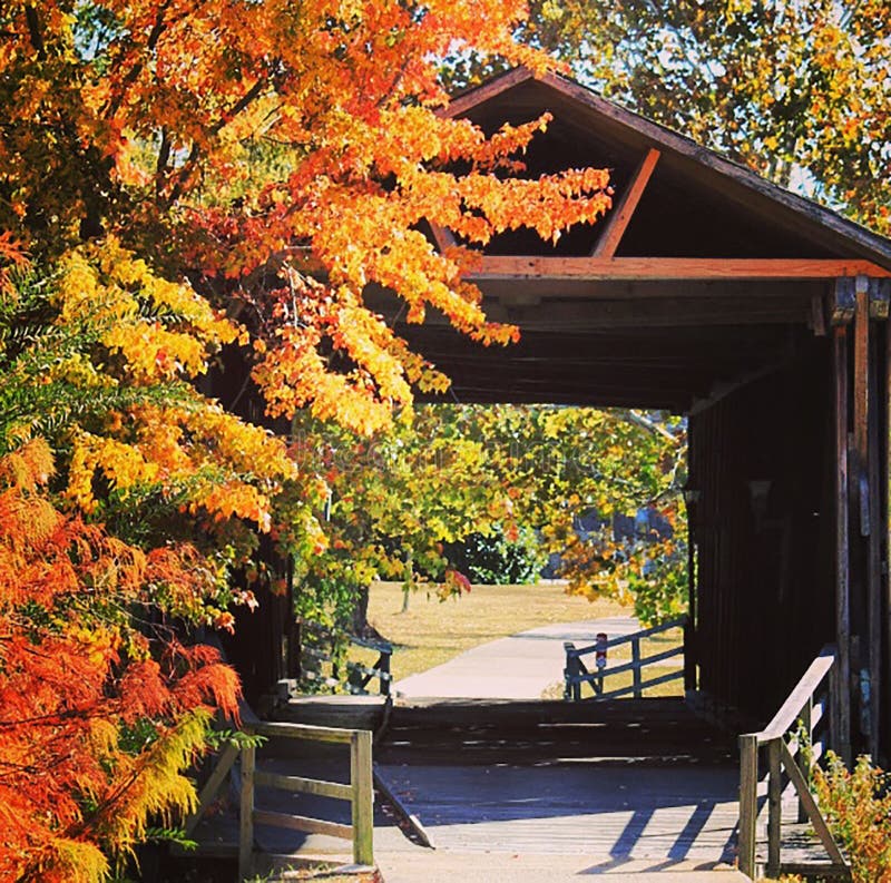 Bridge of Fall stock image. Image of alabama, fall, tree - 49836059