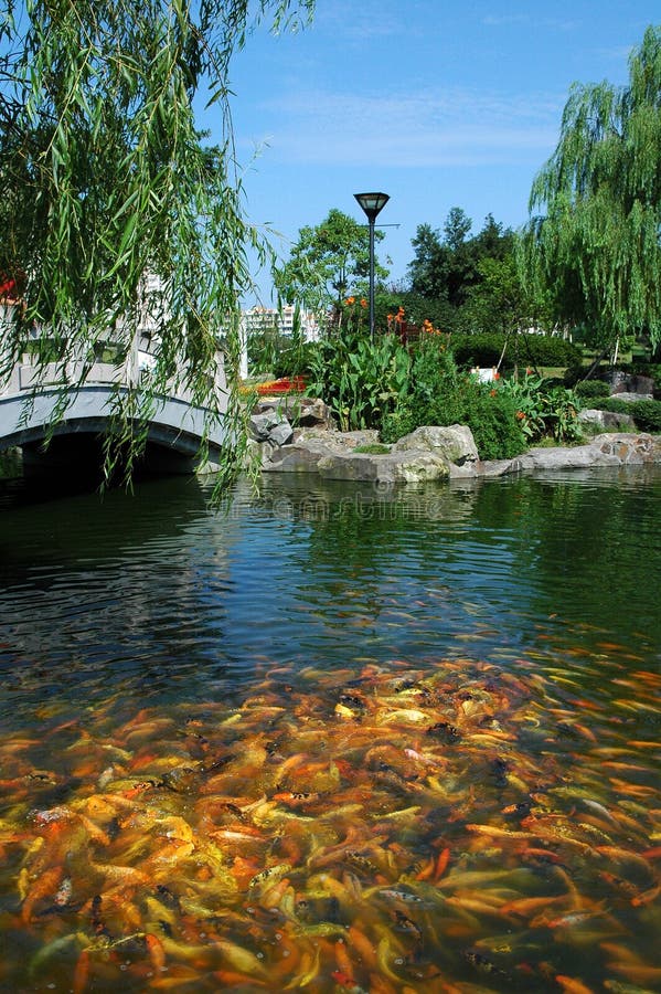 Bridge And Fish Picture. Image: 4455236