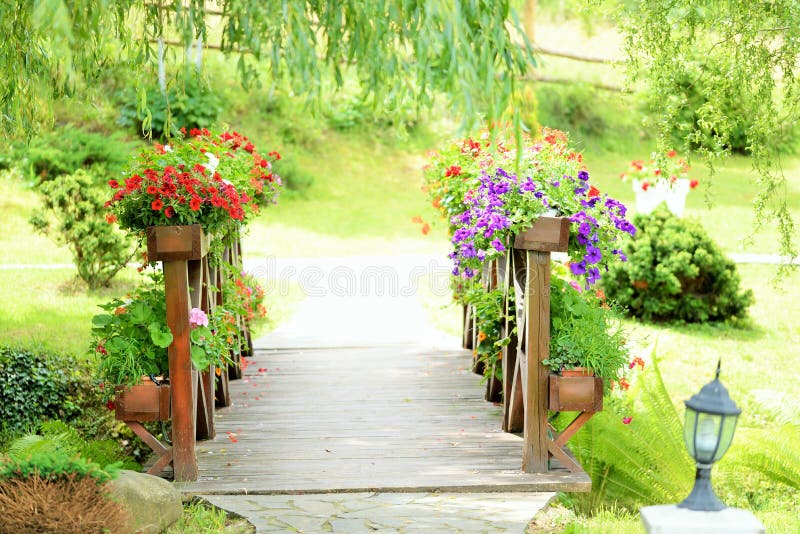 Bridge with flowers stock photo. Image of pond, season - 73070370