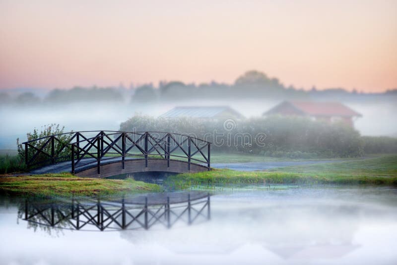 Bridge in fog stock photo. Image of misty, green, nature - 25366770