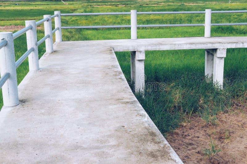 Bridge Footbridge Walkway Pathway Along Rice Paddy Field Stock Photo ...