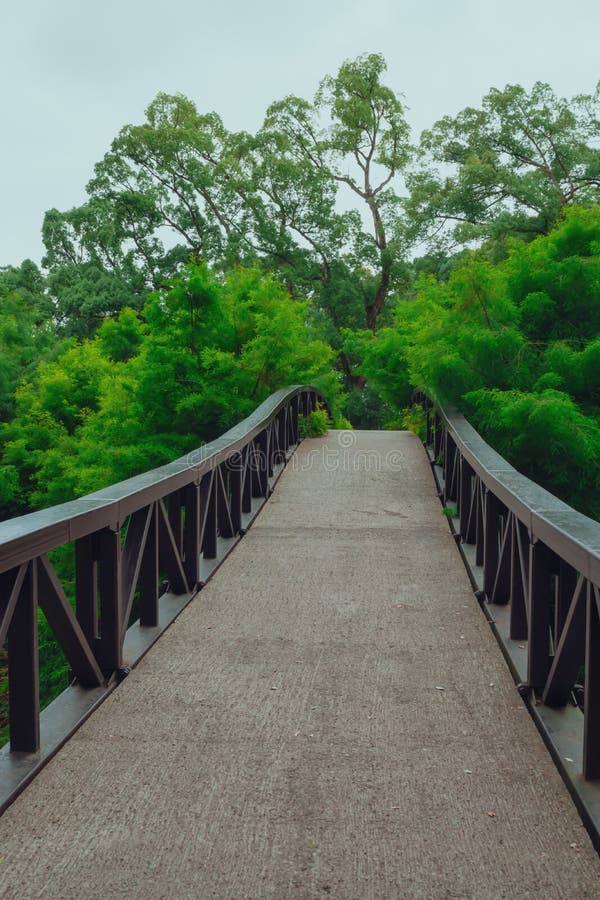 Bridge in the Park. Summer Landscape. Plants and Trees Stock Image ...