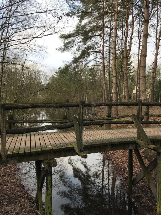 Bridge through a Forest Brook Stock Image - Image of brook, countryside ...